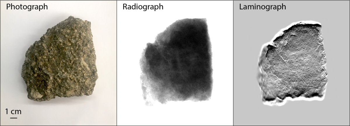 Radiographs and laminographs | BOSCORF
